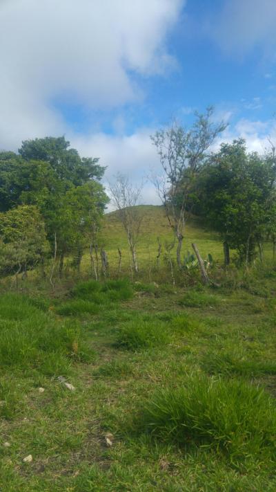 Farm land Real Estate in Panama