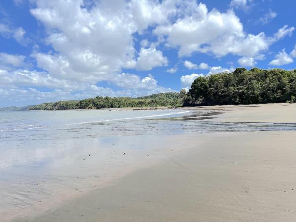 Beach Front Development land in Torio Panama